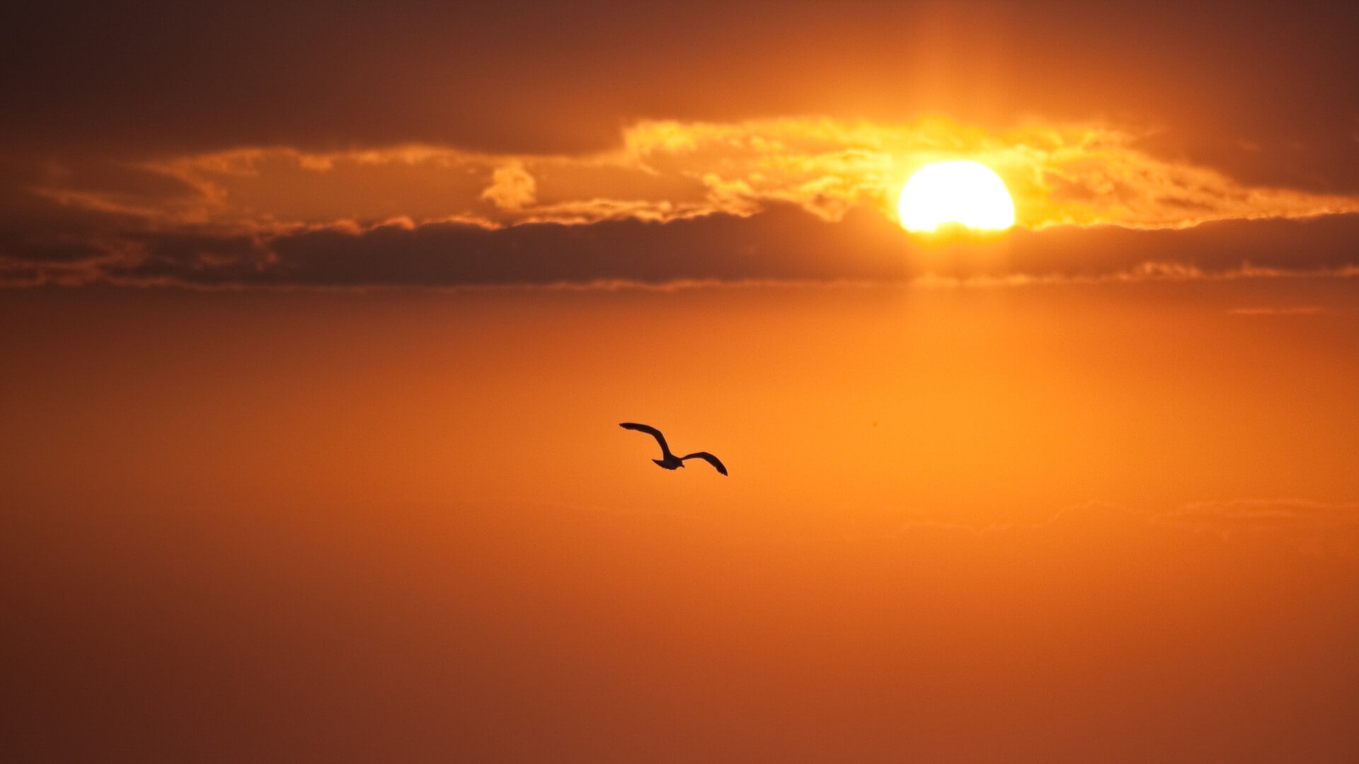 Қазақ елінен шыққан ишандар мен әулиелердің маңыздылығы | AMIN.KZ